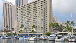 Marina com vários barcos atracados, cercada por edifícios altos e palmeiras.