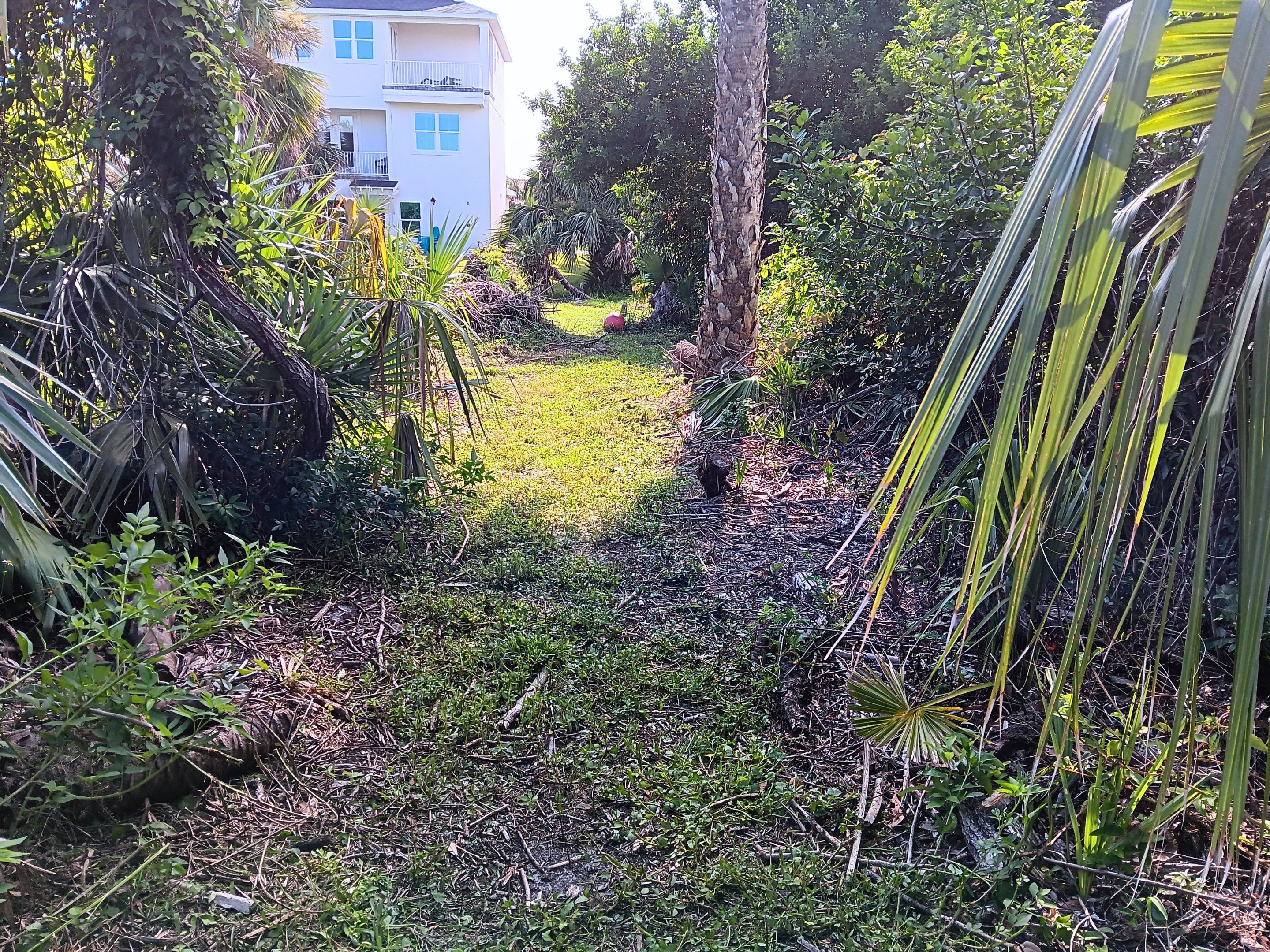 Uma trilha que leva a um edifício cercado por vegetação densa.