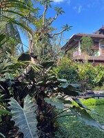 Suite, varanda, vista para o jardim | Vista para o jardim