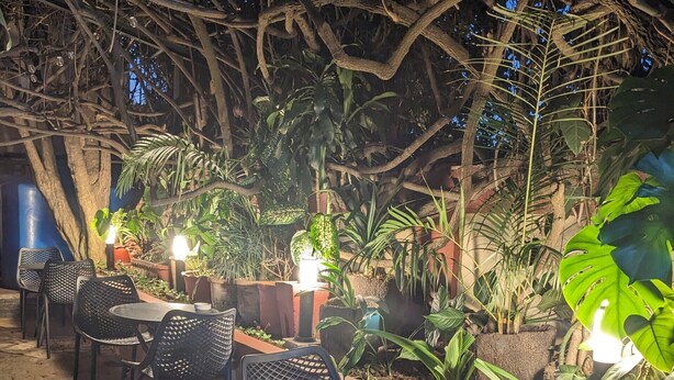 Uma área externa com mesas e cadeiras redondas, cercada por vegetação exuberante e plantas.