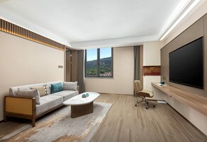 Suite Executiva, 1 cama king-size, não fumadores