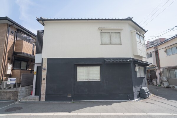 New Open Sunflower - Japan