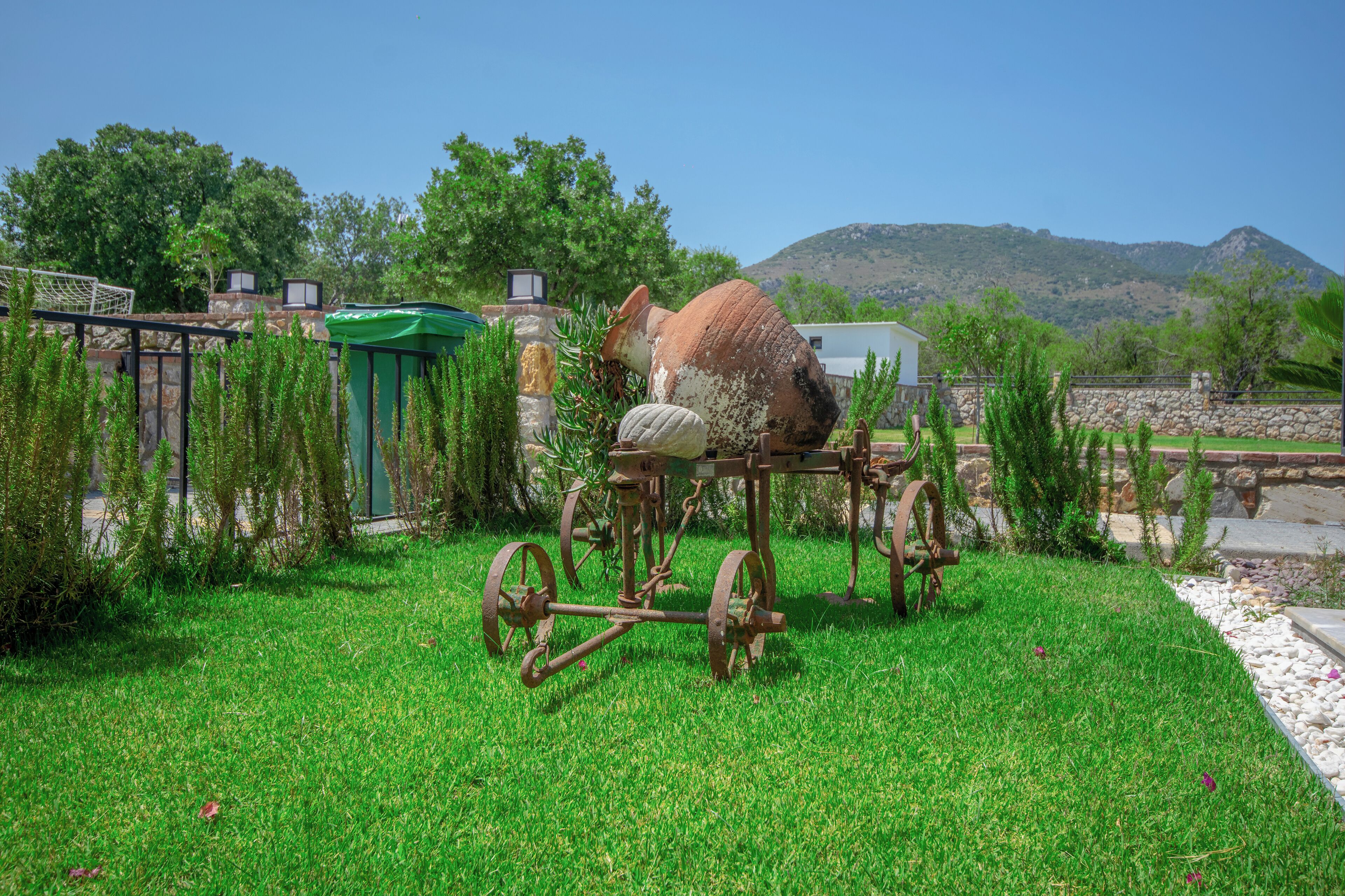 Tractor antigo com uma grande concha nas costas, rodeado por vegetação e um muro de pedra.