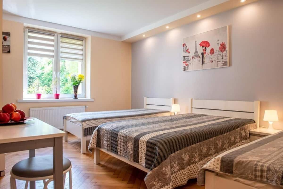 Apartamento luxo | Cortinas blackout, ferros/tábuas de passar roupa, Wi-Fi de cortesia