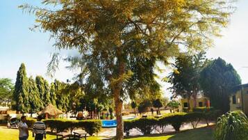 Pátio arborizado com piscina, bancos e uma construção com telhado de palha.