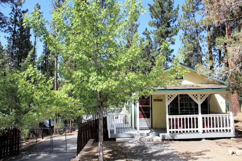 Sugar Bear - Big Bear, CA