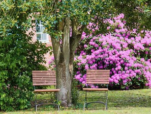Duas bancos de madeira sob uma árvore com flores cor-de-rosa.