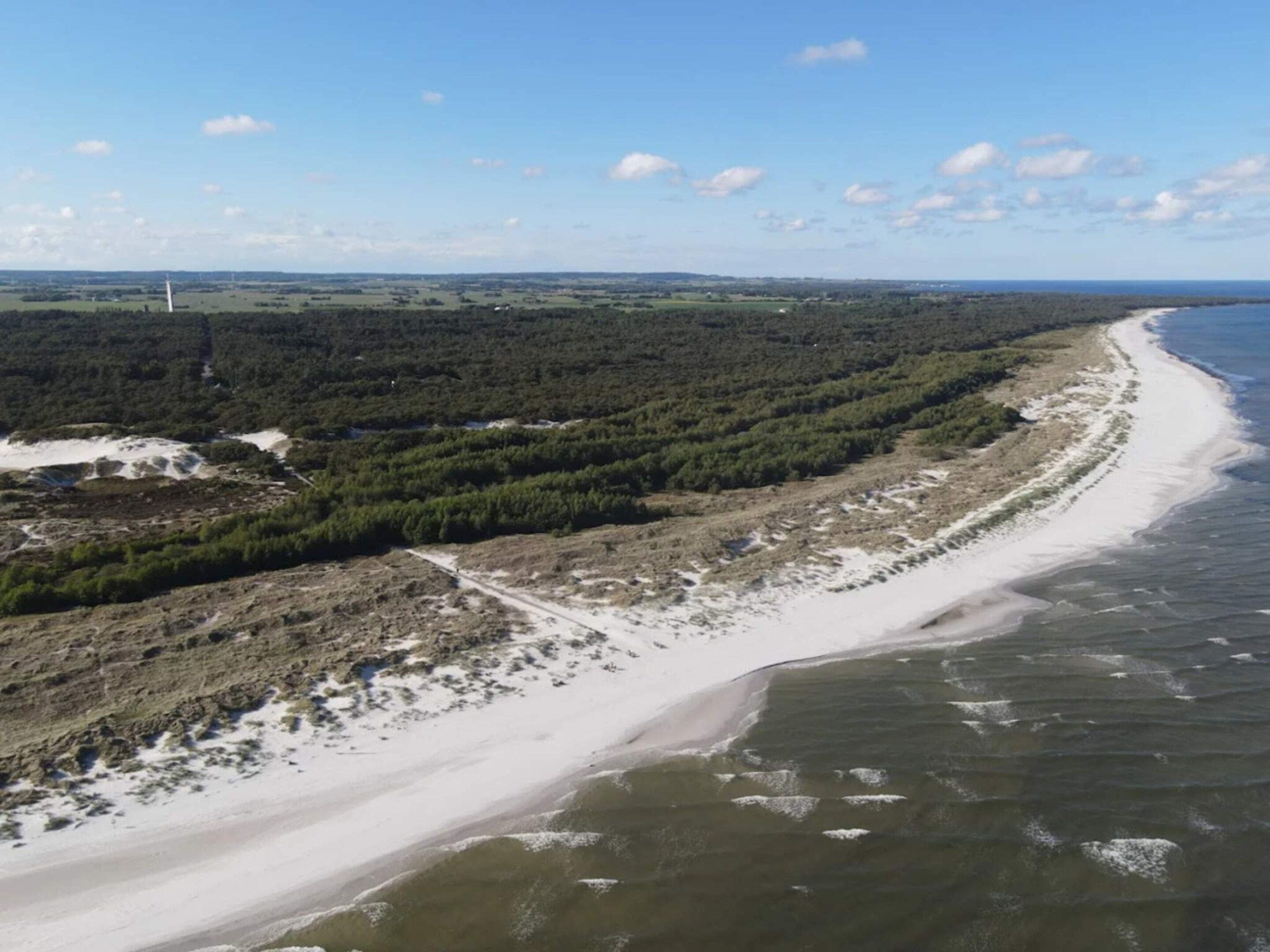 Paisagem costeira com praia de areia, floresta densa e céu claro.