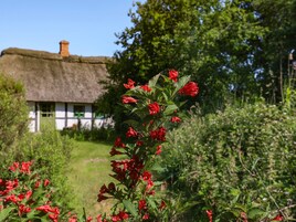 Casa | Vista da propriedade