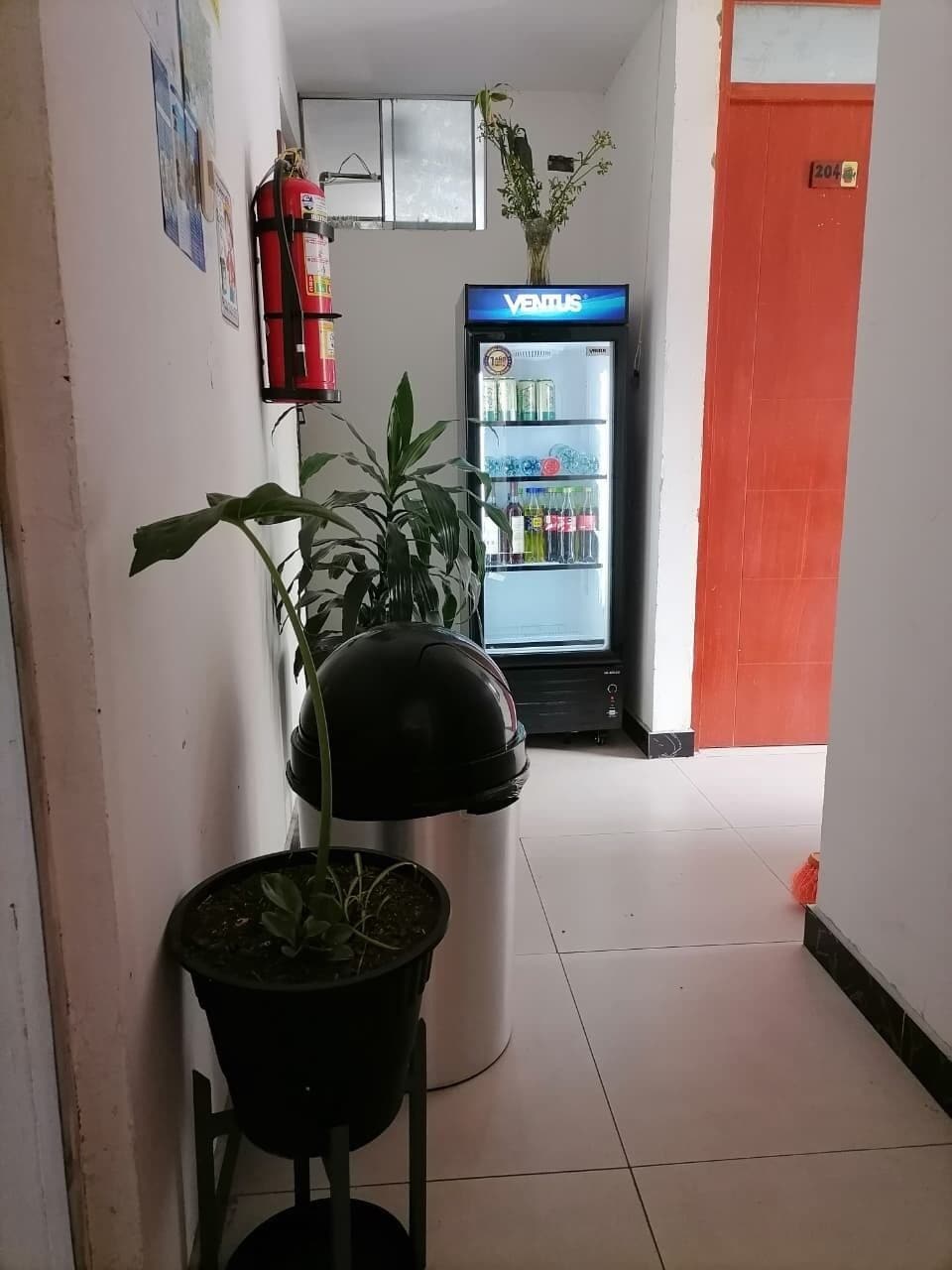 Recepção