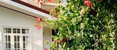 Entrada da propriedade