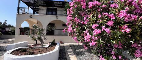 Vila, 4 quartos, piscina particular, vista para o jardim | Jardim
