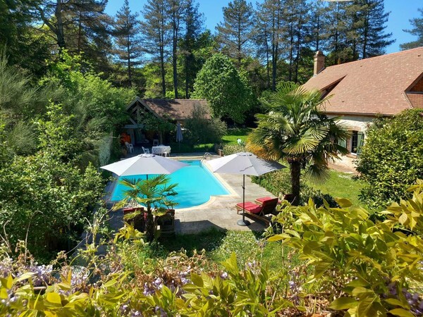 Maison D'hôtes La Danasha - Sully-sur-Loire