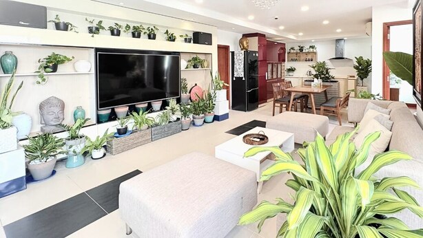 Uma sala de estar moderna com televisão de tela plana, um sofá, uma mesa de centro e diversos vasos de plantas.