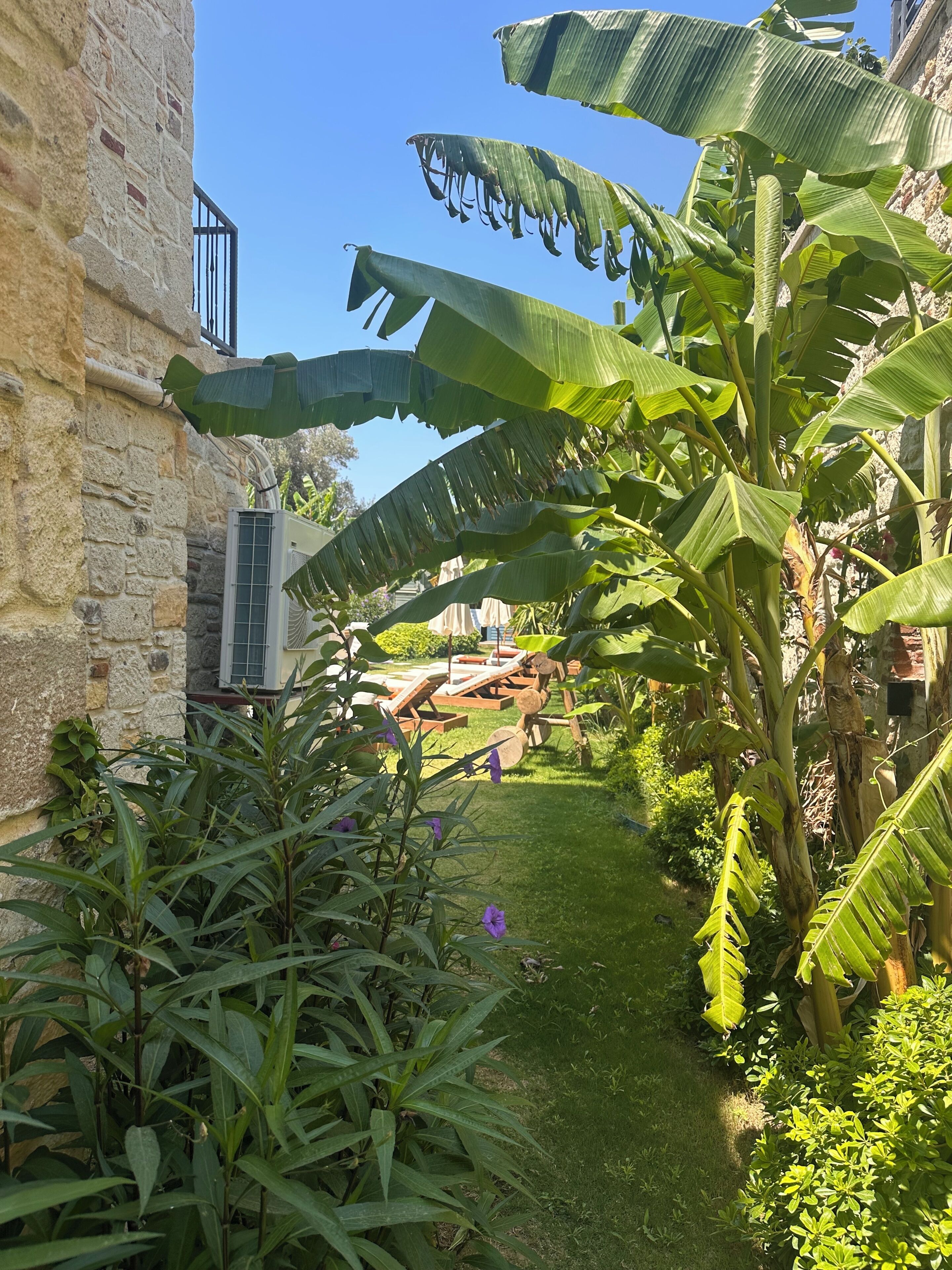 Um edifício de pedra com um jardim, apresentando bananeiras e um caminho.