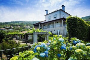Uma casa de dois andares com varanda, cercada por vegetação exuberante e flores de hortênsia azuis.
