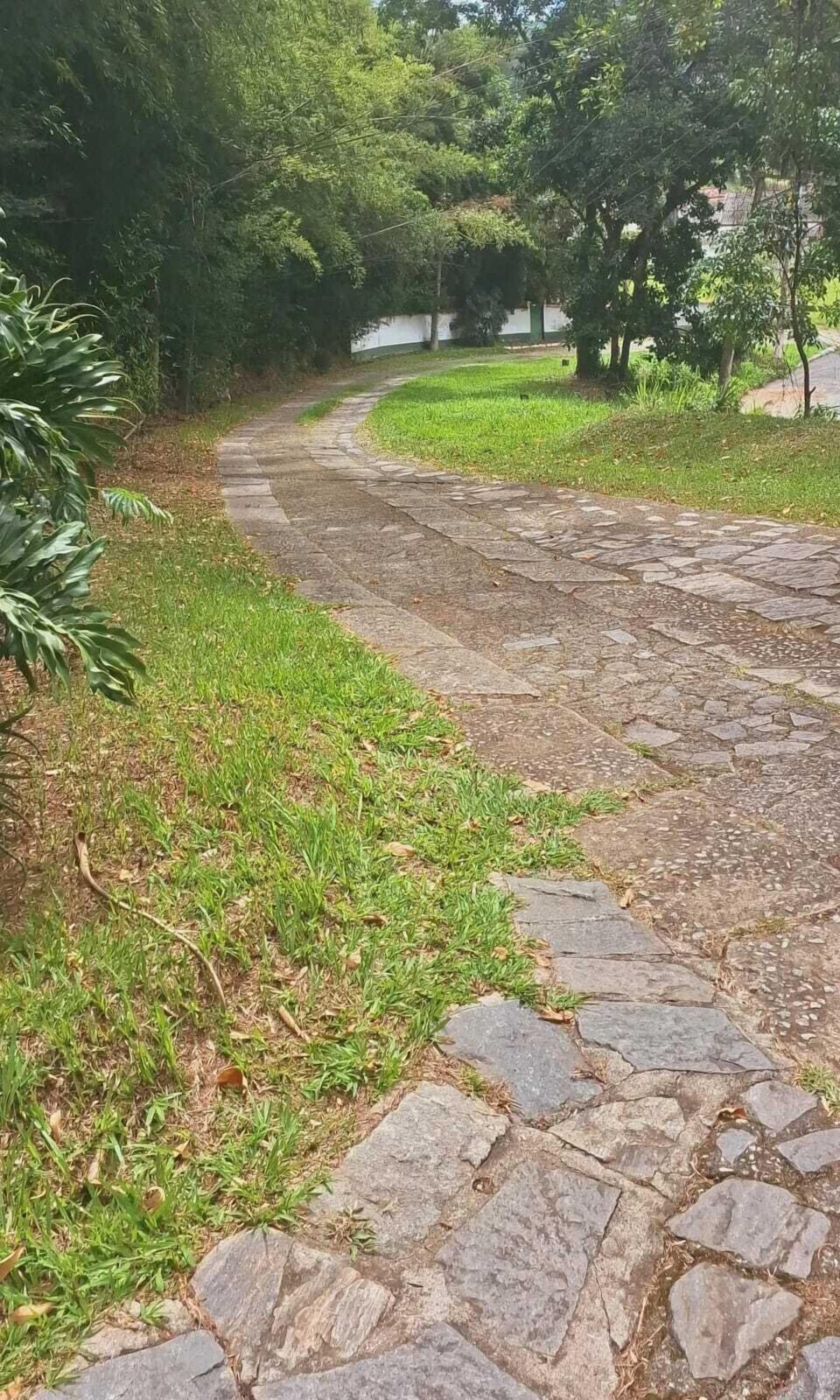 Um caminho de pedra em um parque, com grama de ambos os lados.