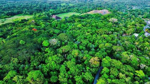 Los Fundadores Estancia Ecológica - Tabasco