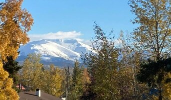 Lark St #12; 3 Bedroom Apartment with Kitchen, Top Floor, Mountain Views | Terraço/pátio interior