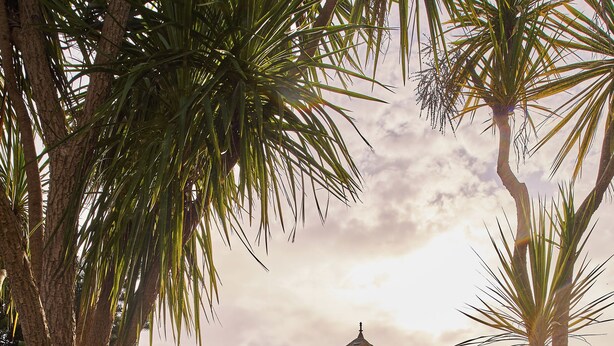 Um edifício histórico com uma torre, rodeado por vegetação exuberante e palmeiras.