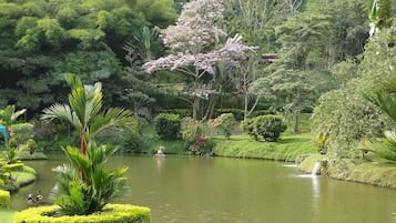 Lago