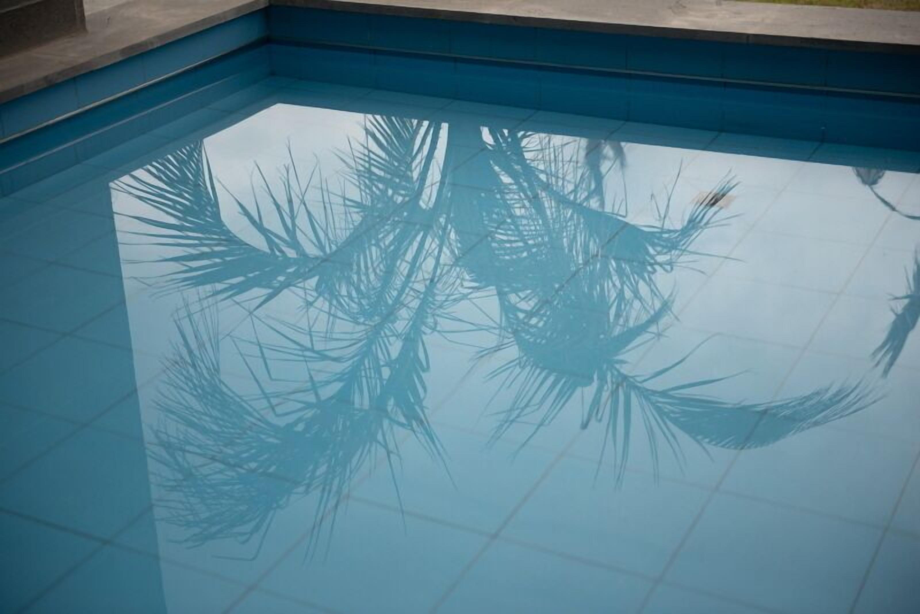 Piscina azul límpida com reflexos de folhas de palmeira.