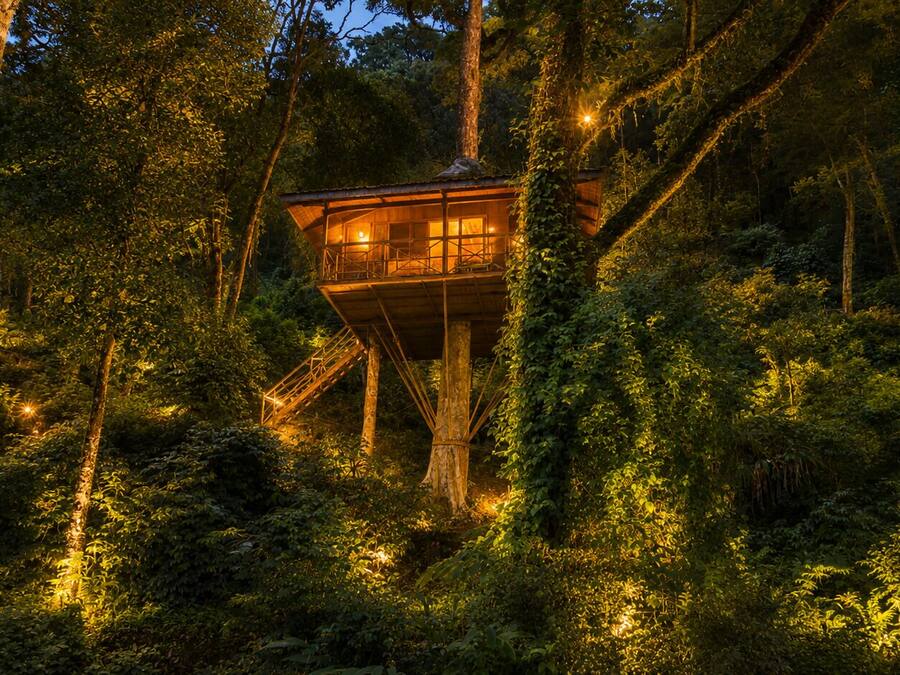 Casa na Árvore Deluxe, varanda, vista para a montanha | Secretária, quartos insonorizados, camas desdobráveis, Wi-fi grátis