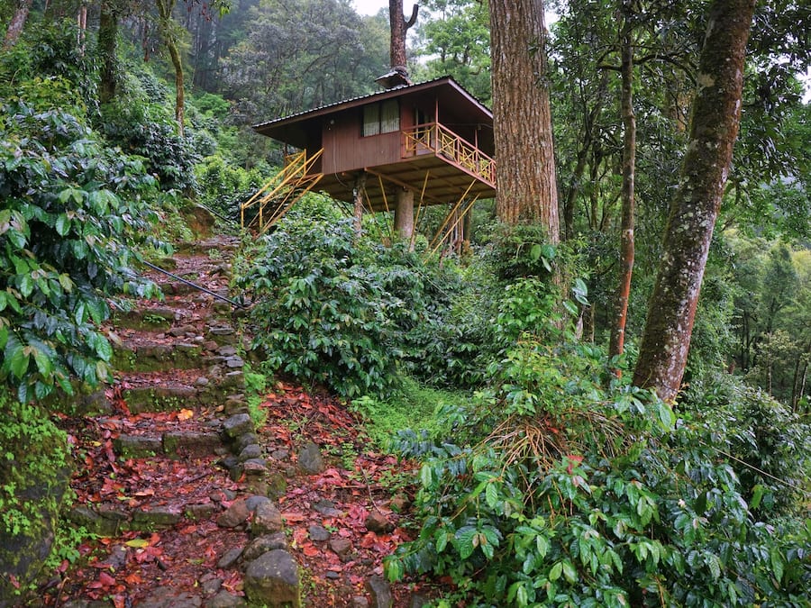 Casa na Árvore Deluxe, varanda, vista para a montanha | Secretária, quartos insonorizados, camas desdobráveis, Wi-fi grátis