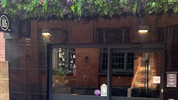 Uma entrada moderna com porta de vidro, parede de tijolos e planta pendente.