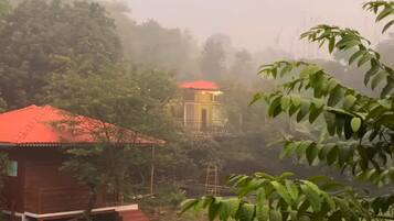Uma casa com telhado vermelho e uma pequena construção também com telhado vermelho, numa área arborizada e com névoa.