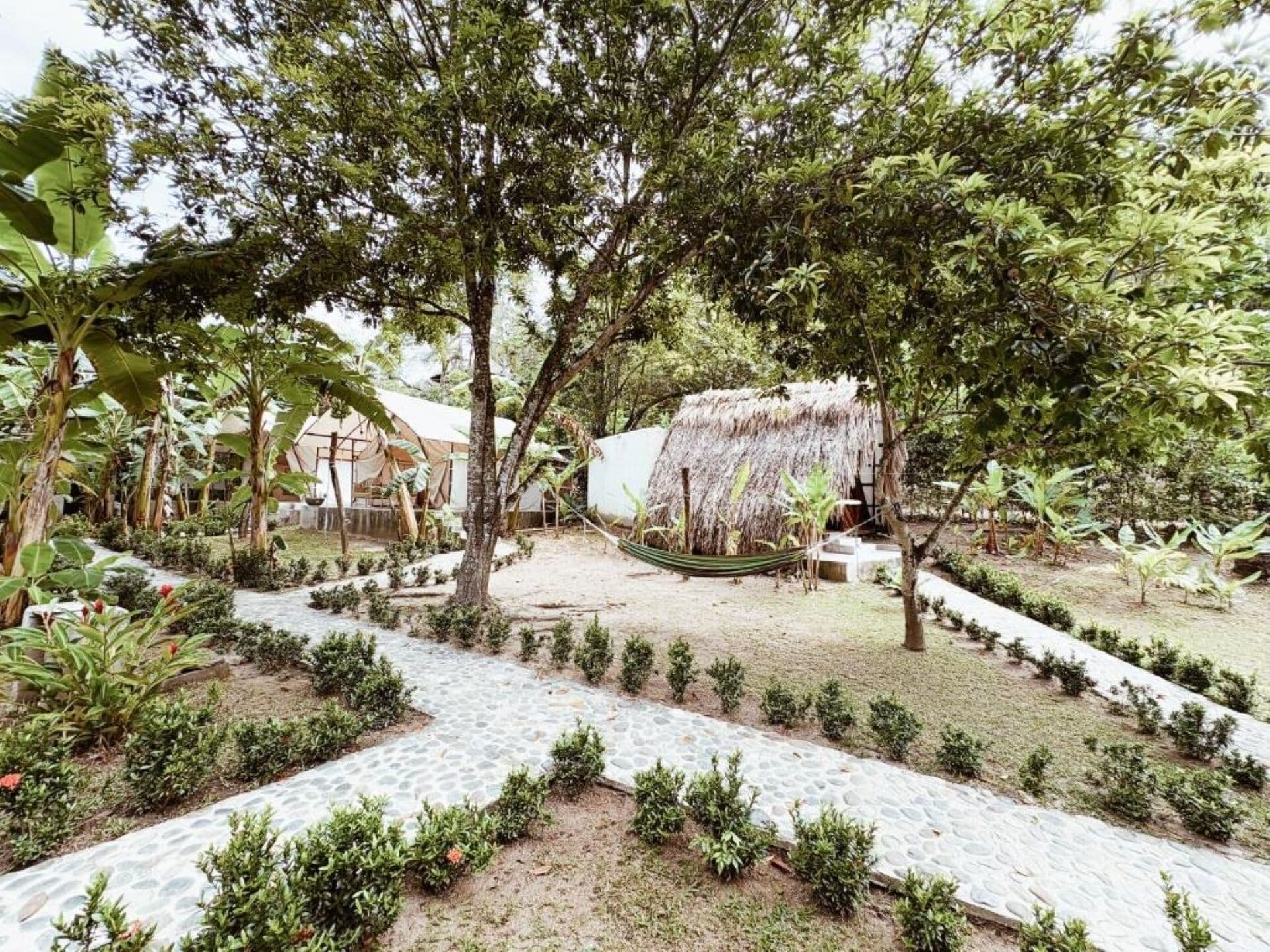 Um jardim com uma estrutura de telhado de palha, caminhos pavimentados e diversas plantas.