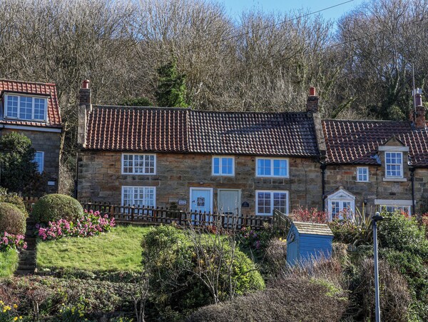 Rigg Cottage, Mount Pleasant - ウィットビー