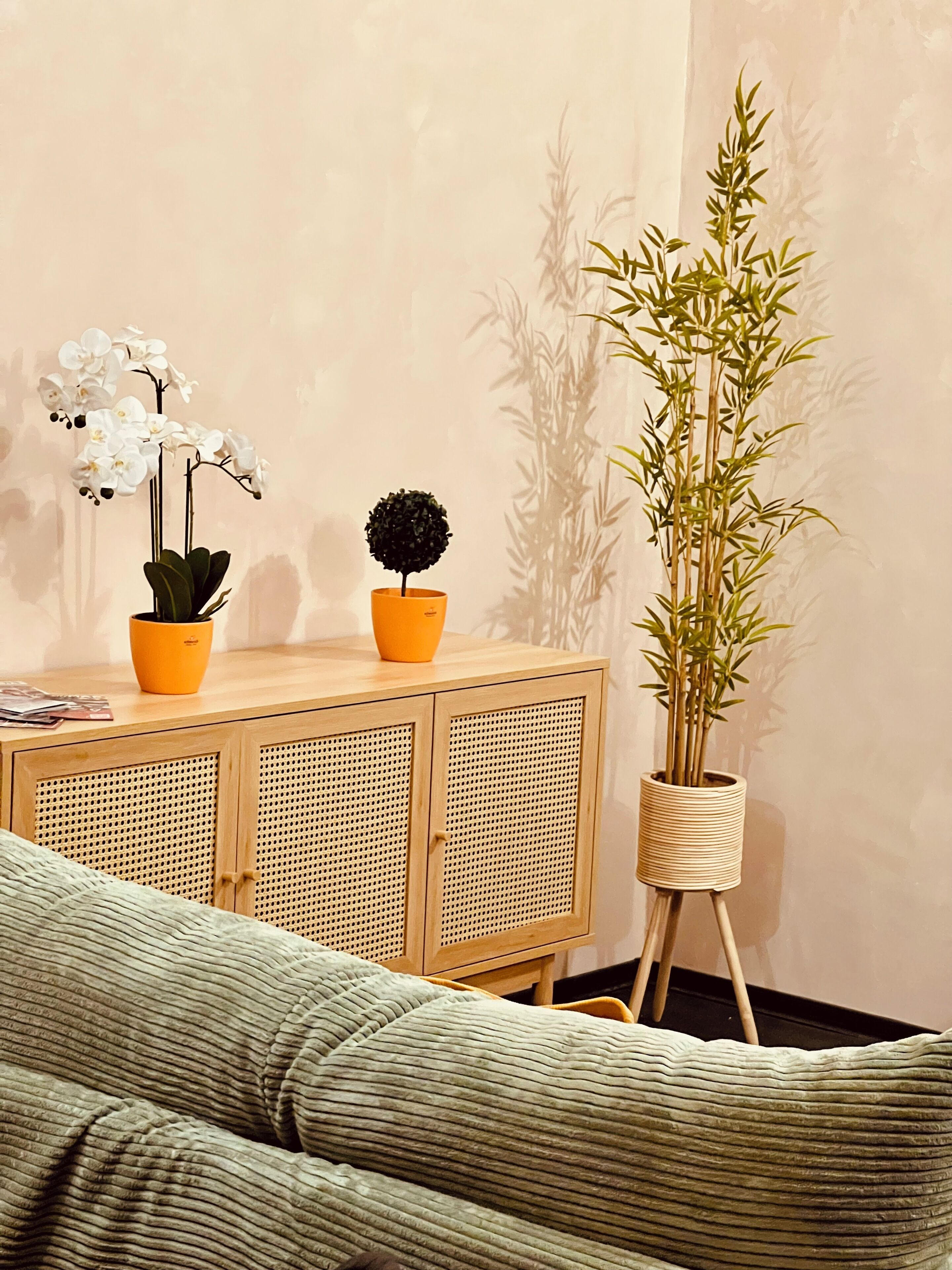 Apartamento standard | Área de estar