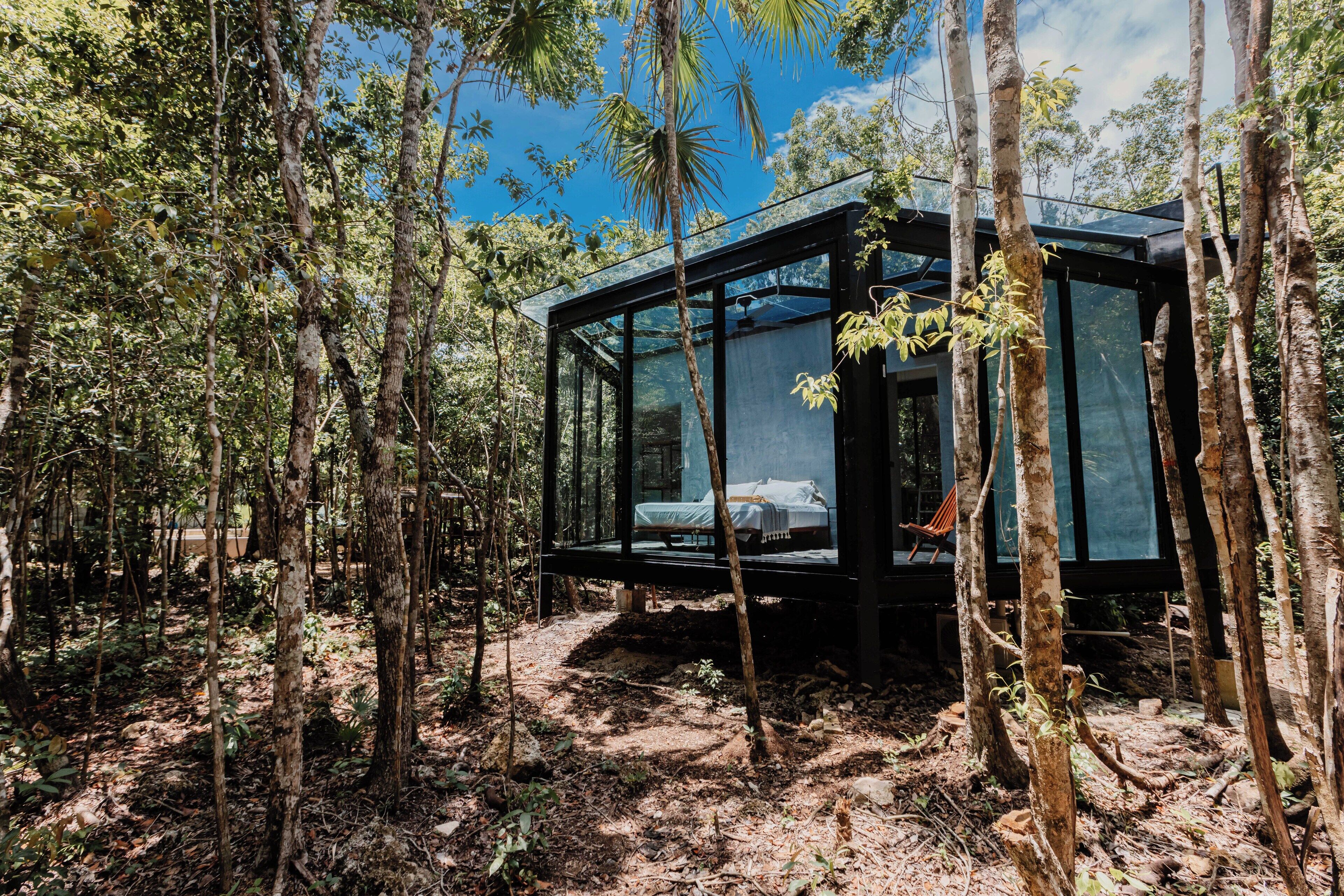 Uma cabana cercada por vidro em uma floresta, com uma cama e uma cadeira visíveis no interior.