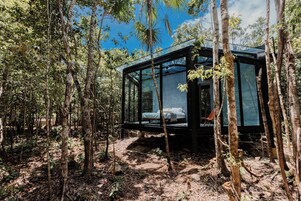 Uma cabana cercada por vidro em uma floresta, com uma cama e uma cadeira visíveis no interior.