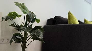 Uma planta em vaso num canto, um sofá preto com almofada verde e obras de arte emolduradas na parede.