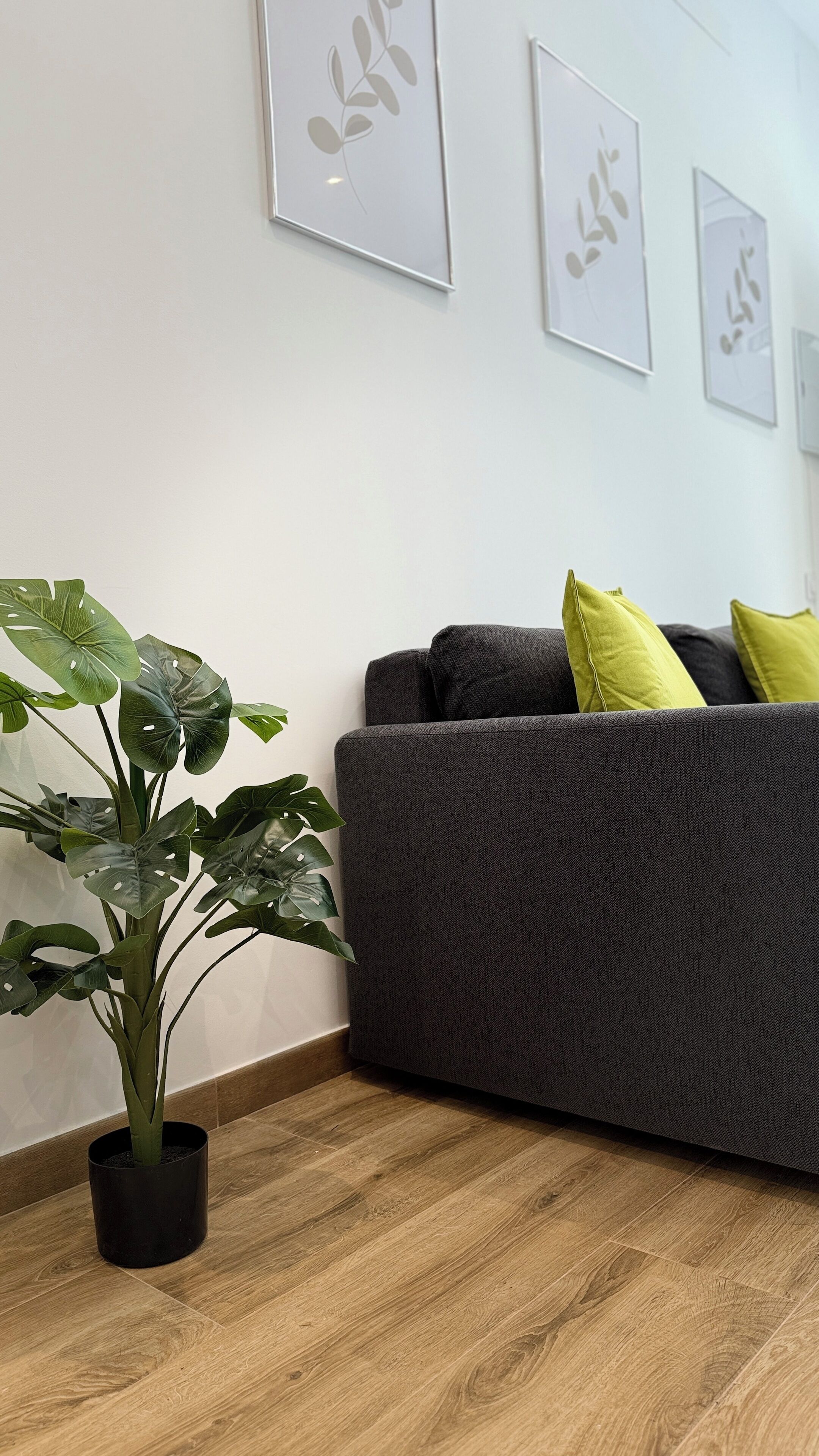 Quarto com sofá cinzento, planta em vaso e quadros na parede.