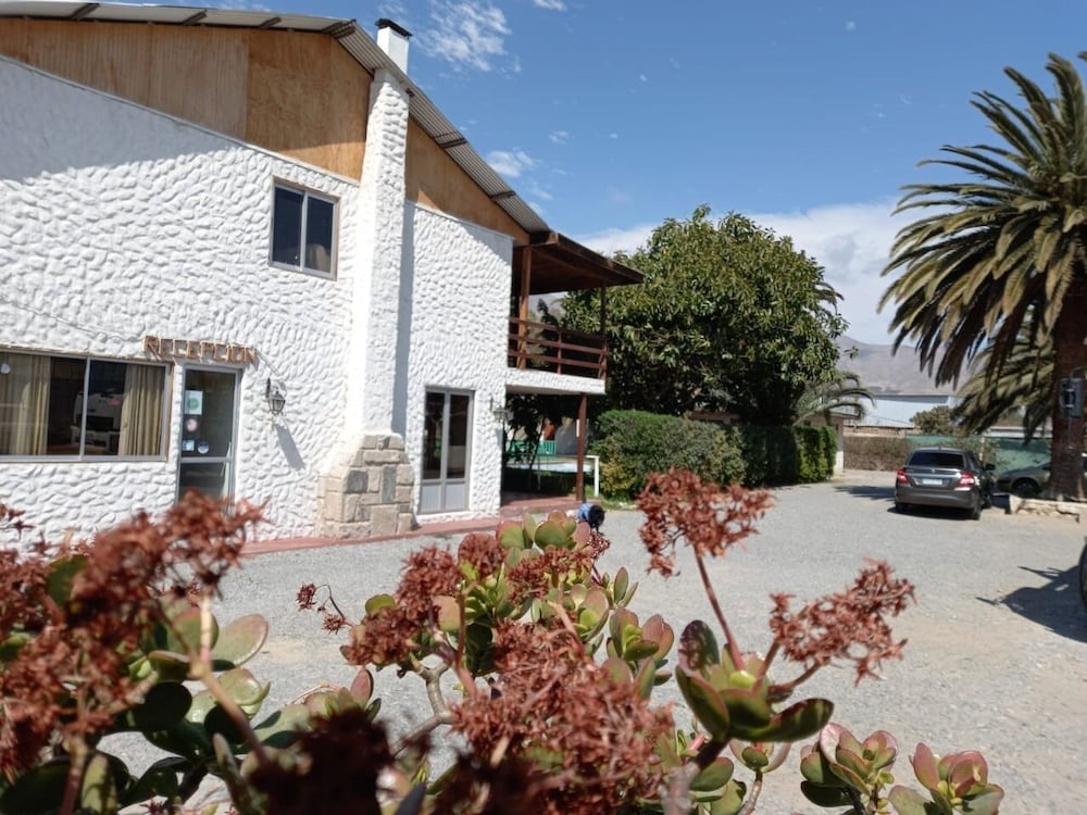 Yunkai Home - Vicuña