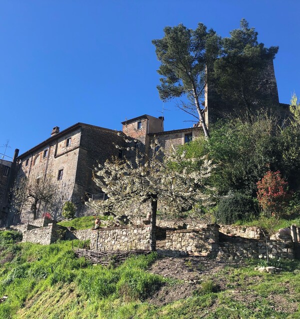 Lemon Tree Boutique Guesthouse - Todi