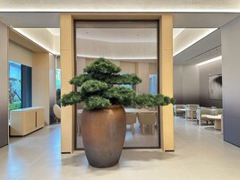 Pormenores do interior