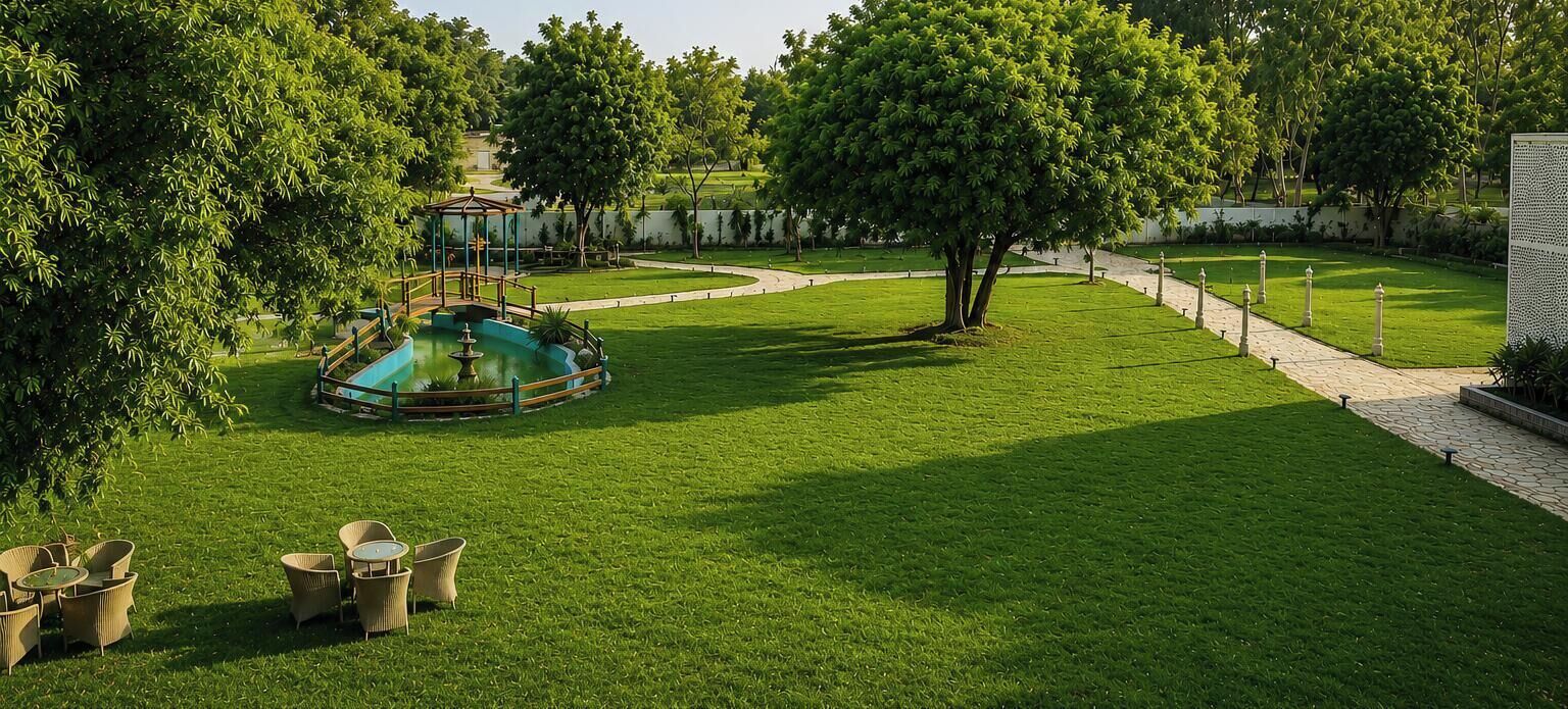 Jardim