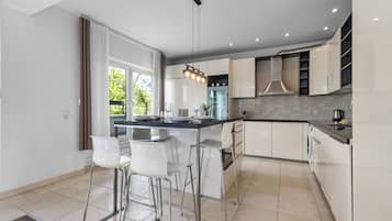 Loft de Luxo, varanda, Vista para a cidade | Cozinha privada | Uma placa de cozinha, utensílios de cozinha