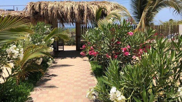 Uma trilha leva a uma construção com telhado de palha, cercada por vegetação exuberante e plantas floridas.