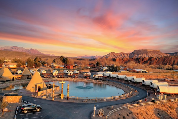 Zion White Bison - Utah