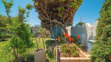 Terrenos do alojamento