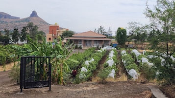 Vista para o jardim