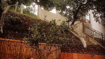Jardim