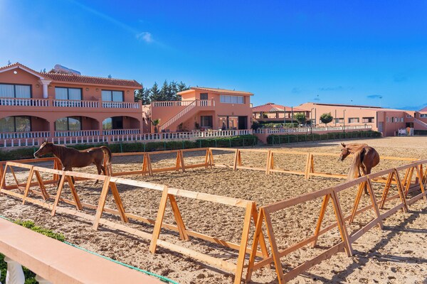 Royal Club Detroit Bed And Breakfast - Tanger