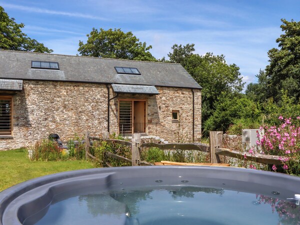 Lower Walreddon Barn - Dartmoor Forest