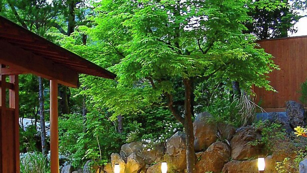 Uma área de piscina tranquila ao ar livre, com um deck de madeira, uma formação rochosa e uma grande árvore oferecendo sombra.